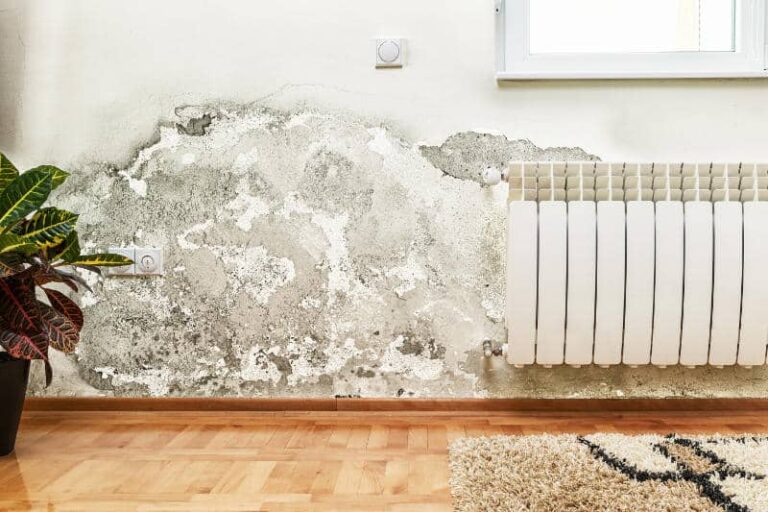What Not to Do After Water Damage